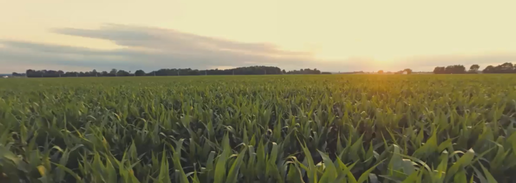 Farm WiFi System | Farm, Ranch, & Rural Wireless Network